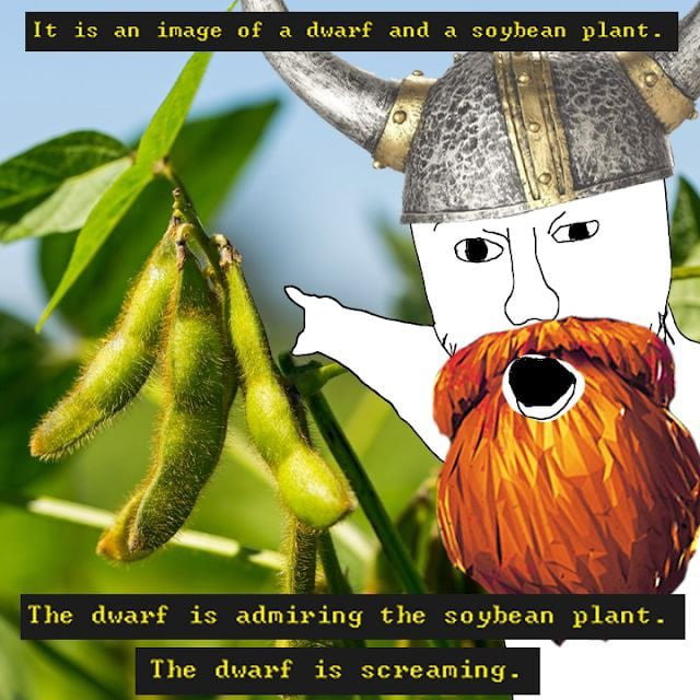 I played dwarf fortress and saw this - 9GAG