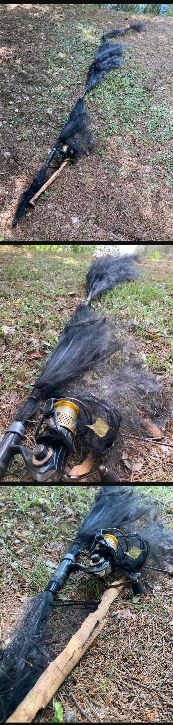 A fishing rod struck by lightning - 9GAG