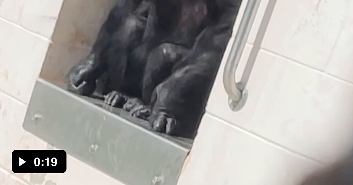 28years in a cage - 9GAG