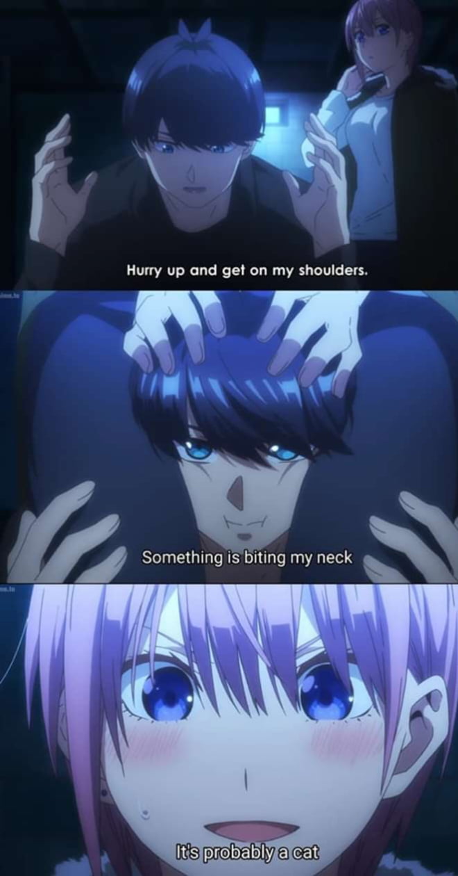 Because something is - 9GAG