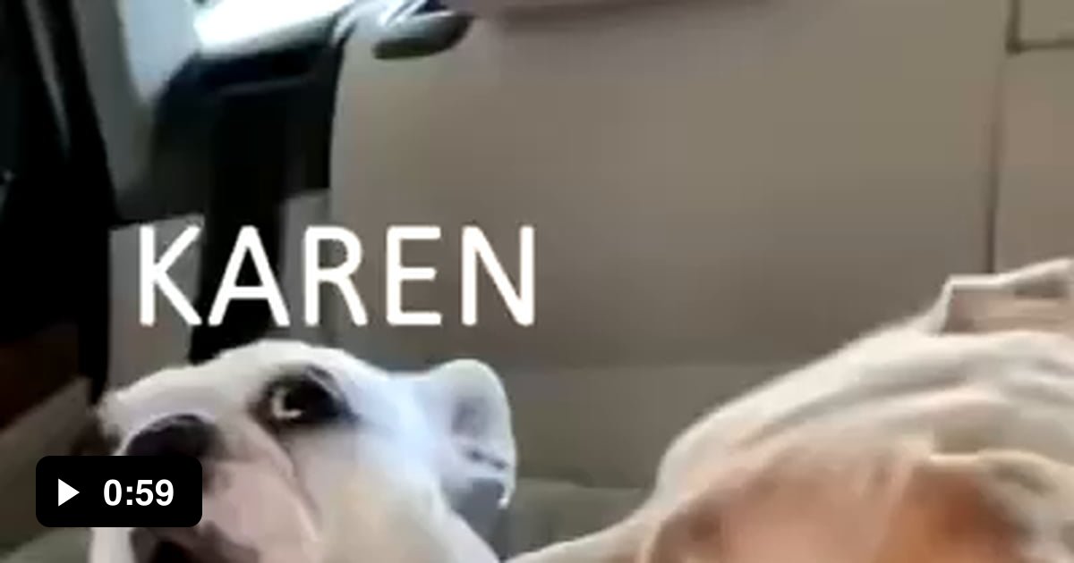 Dammit, Karen - 9GAG