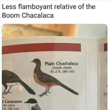 Wind your body, wriggle your belly... - 9GAG