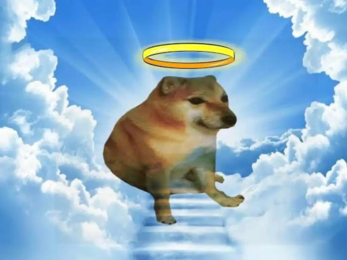 RIP in Peace Cheems, thanks for all the laughs - 9GAG