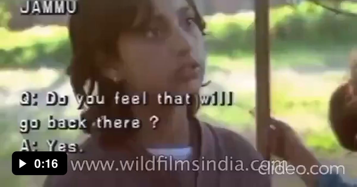 Not a meme. Voice of a Kashmiri Pandit child displaced from her home ...