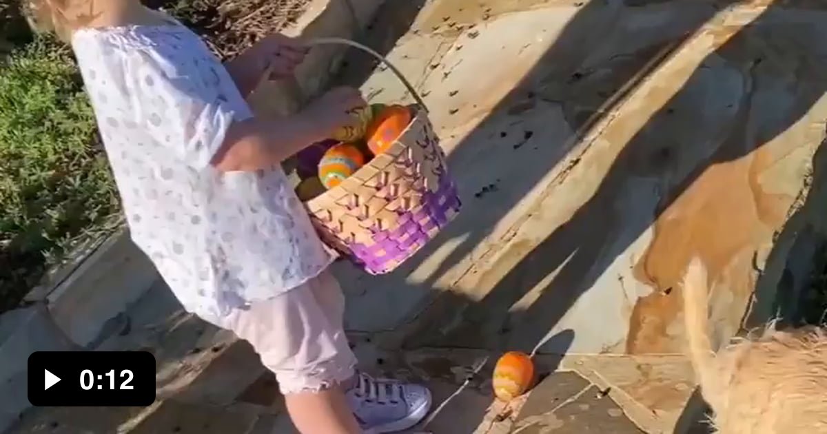 Easter egg hunt - 9GAG