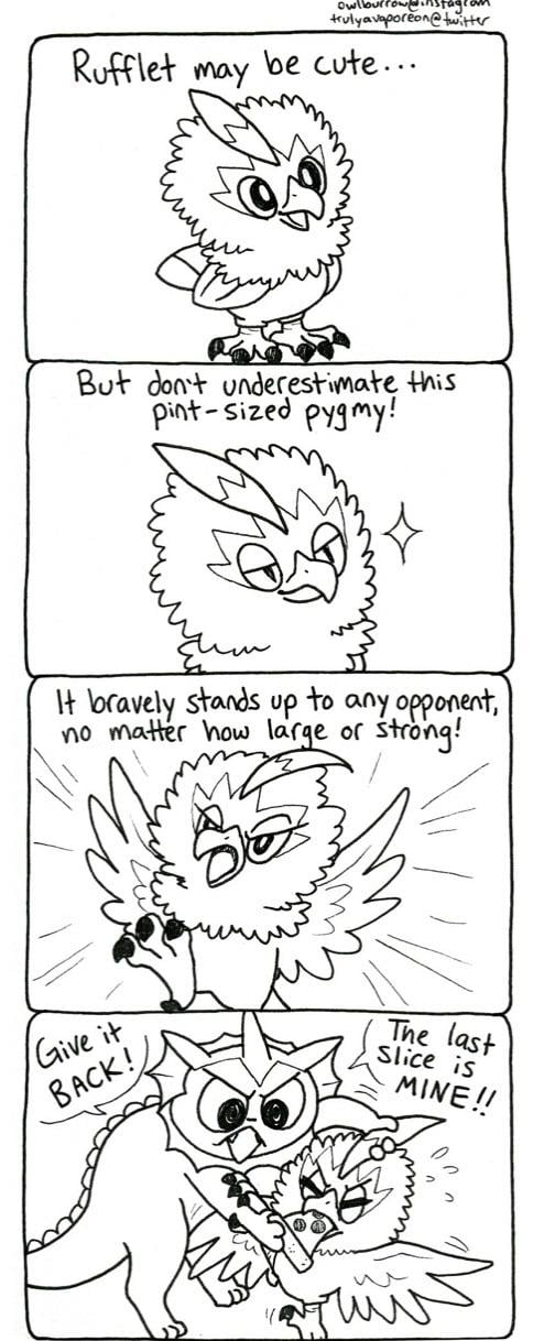 Rufflet won’t give it up - 9GAG