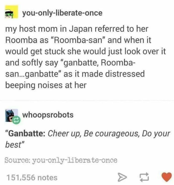 Ganbatte, Roomba-san - 9GAG