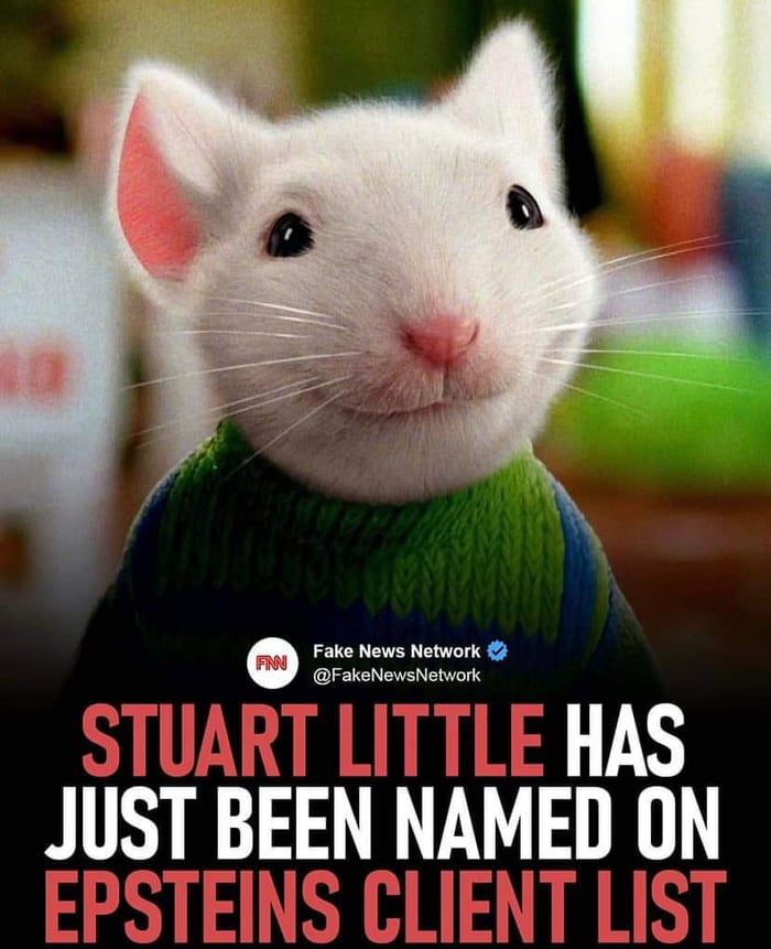 The f**king rat - 9GAG