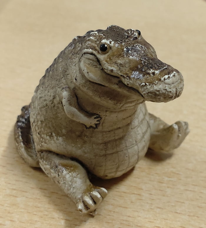 We are now gator brother - 9GAG