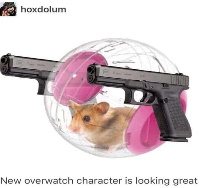 Agent 42, the hamster assassin - 9GAG