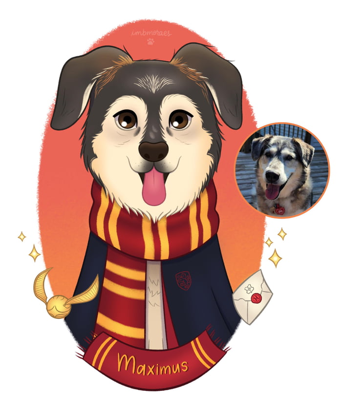Have you ever imagined your dog as a wizard? This is Maximus, a proud ...