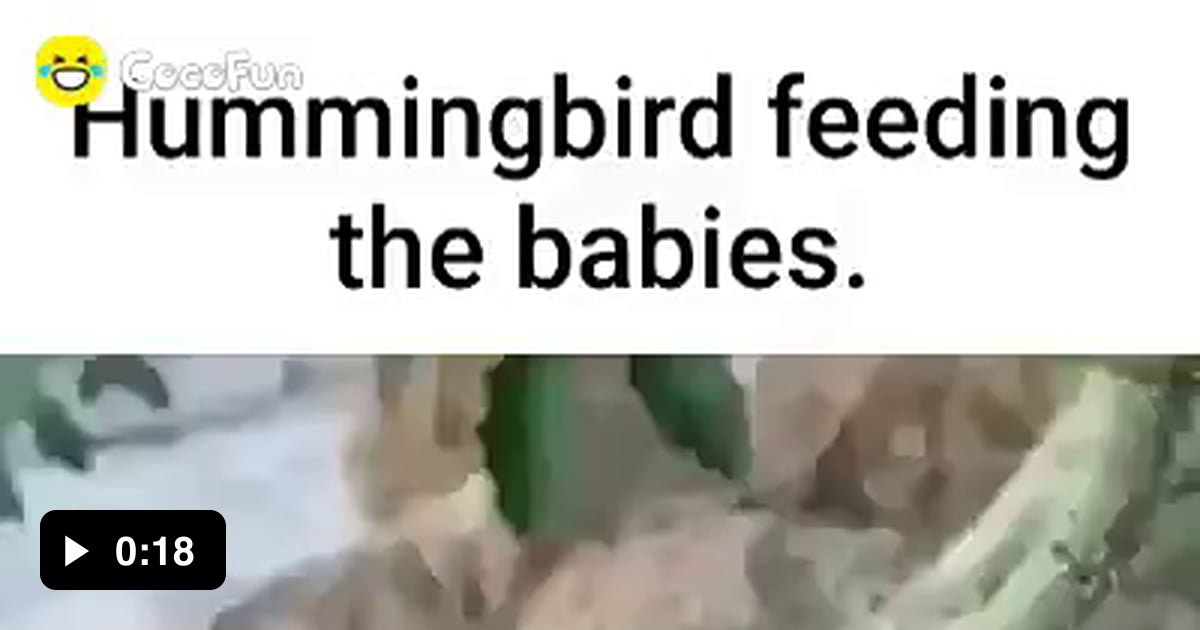 So tiny cuties - 9GAG