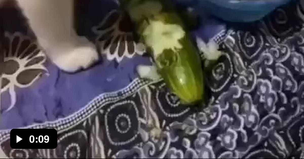 Something went wrong - 9GAG