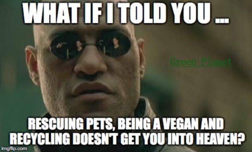 Rescuing pets, being a vegan, recycling etc. - 9GAG