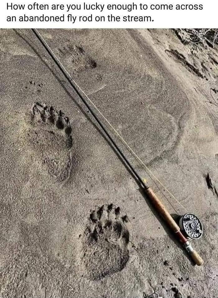 Gentlemen, today was my lucky day. A free Fly Rod! - 9GAG