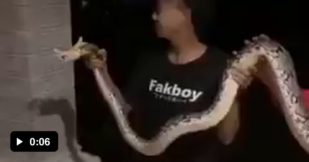 You are a brave guy by holding a beast - 9GAG
