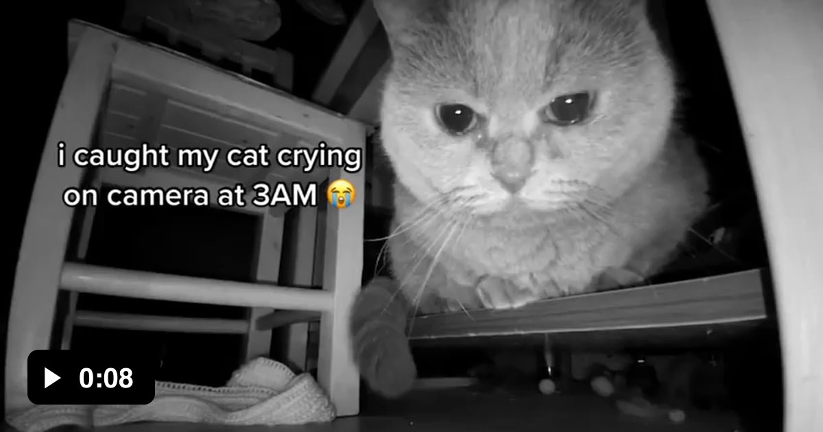 This is so sad 😭 - 9GAG