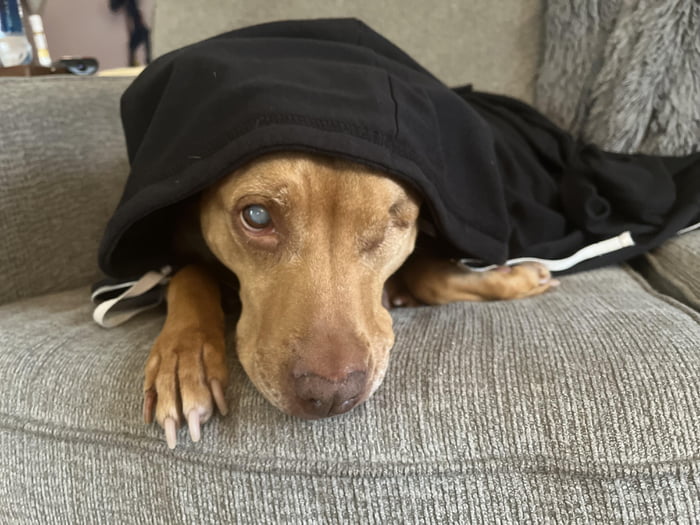 She’s going through her emo phase - 9GAG