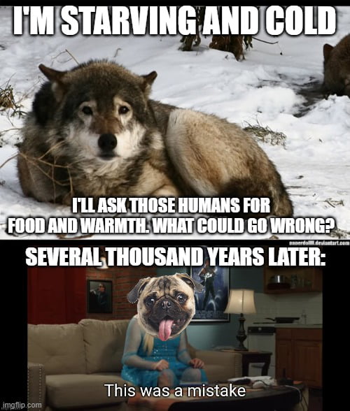 And this is why you don't get friendly with humans. - 9GAG