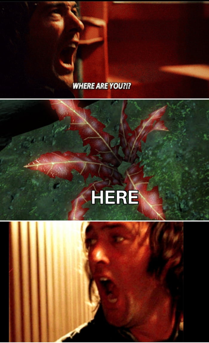 Those damm things - 9GAG