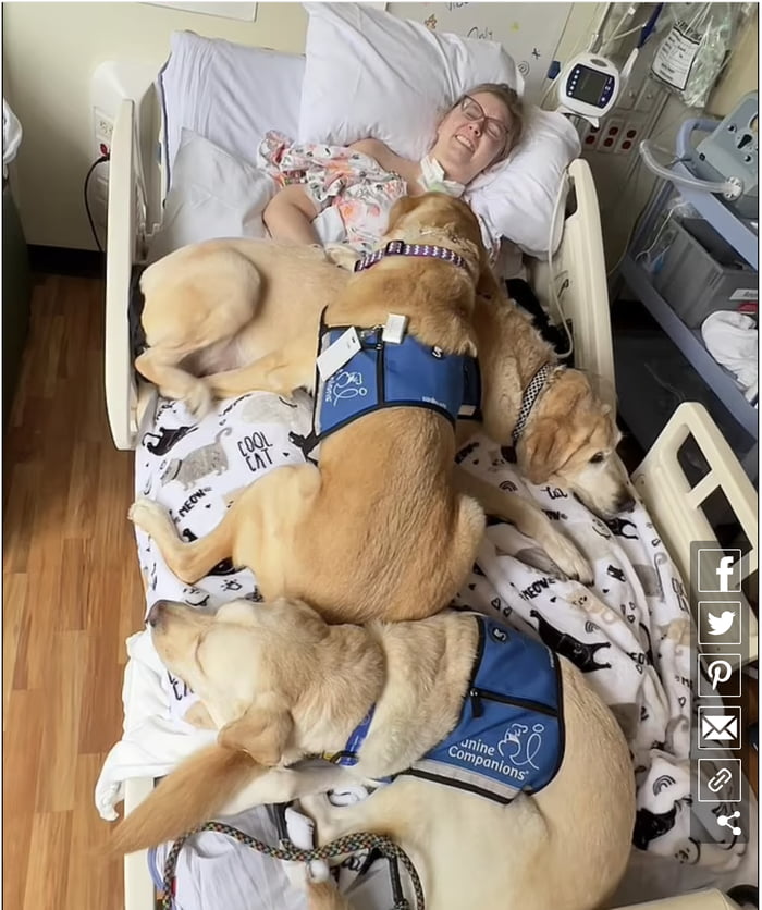 Caitlin Jensen, paralyzed in June by her chiropractor can now move both ...