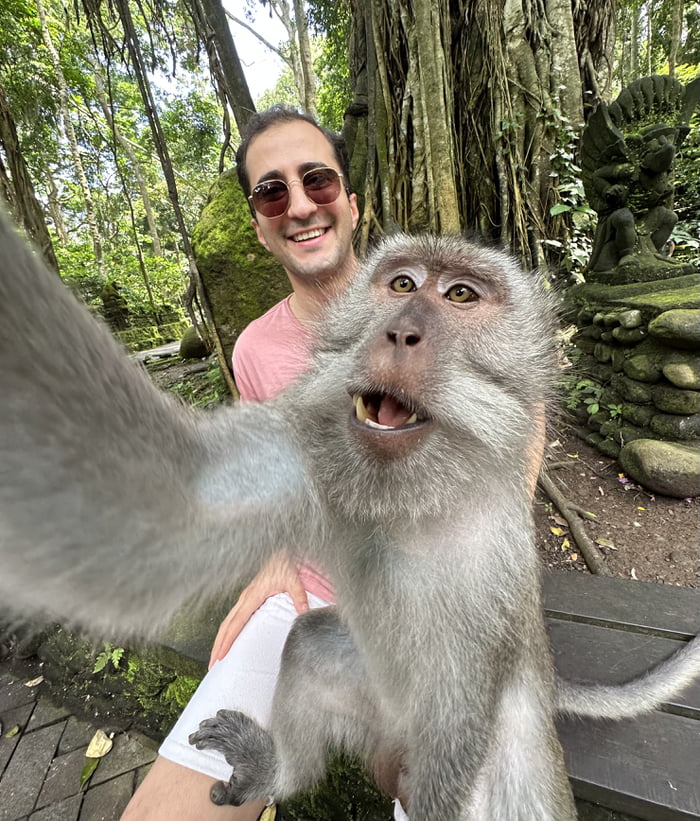 Got my dream monkey selfie today - 9GAG