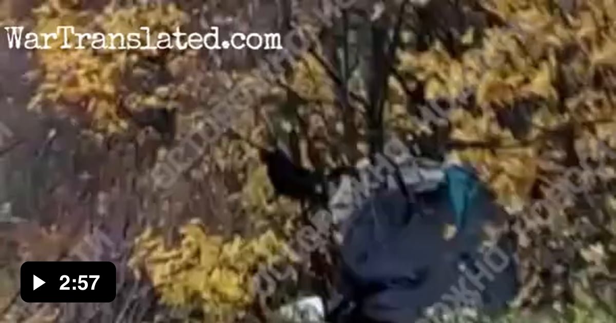 Review of a Russian mobik position near Svatove - 9GAG