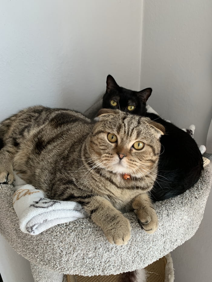 Caught napping with uncle - 9GAG