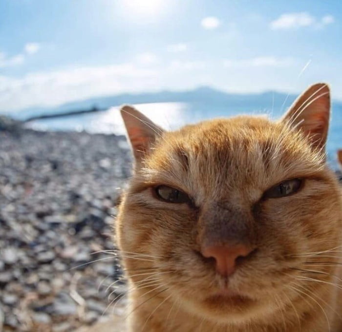 How every baby boomer takes a selfie - 9GAG