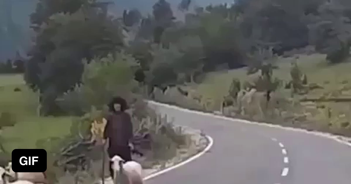 Not today buddy. - 9GAG