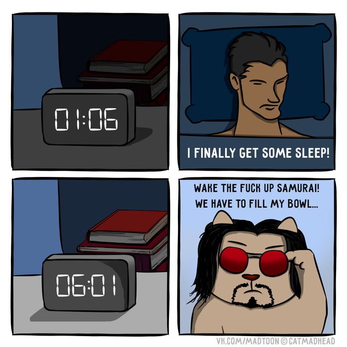 Wake the f**k up, samurai! - 9GAG