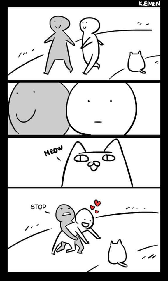 Every damn time when I see a cat.. - 9GAG