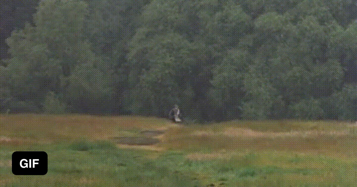 Everyone: You can't hear GIFS GIF: - 9GAG