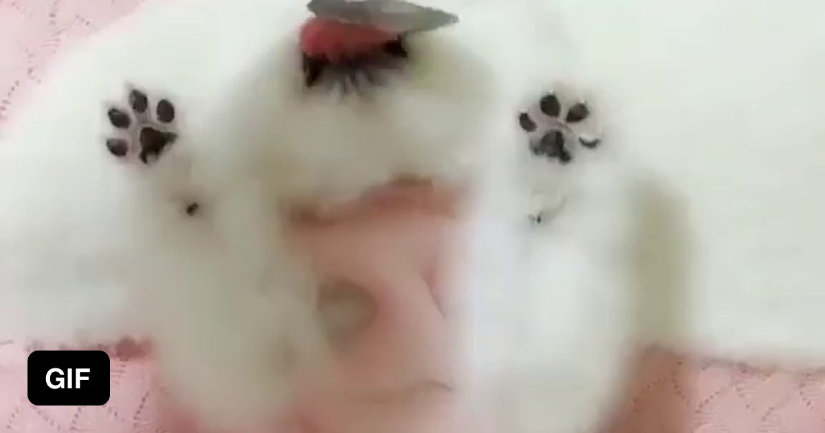 Lick Lick Lick 9gag