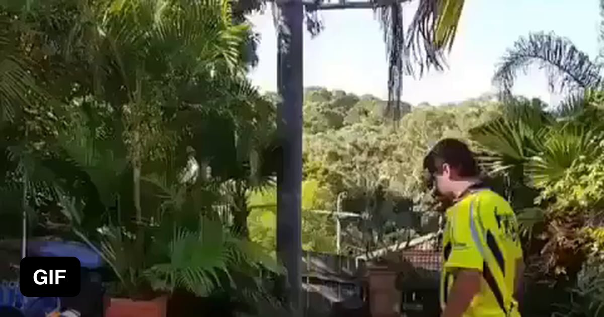 The New Apprentice - 9GAG