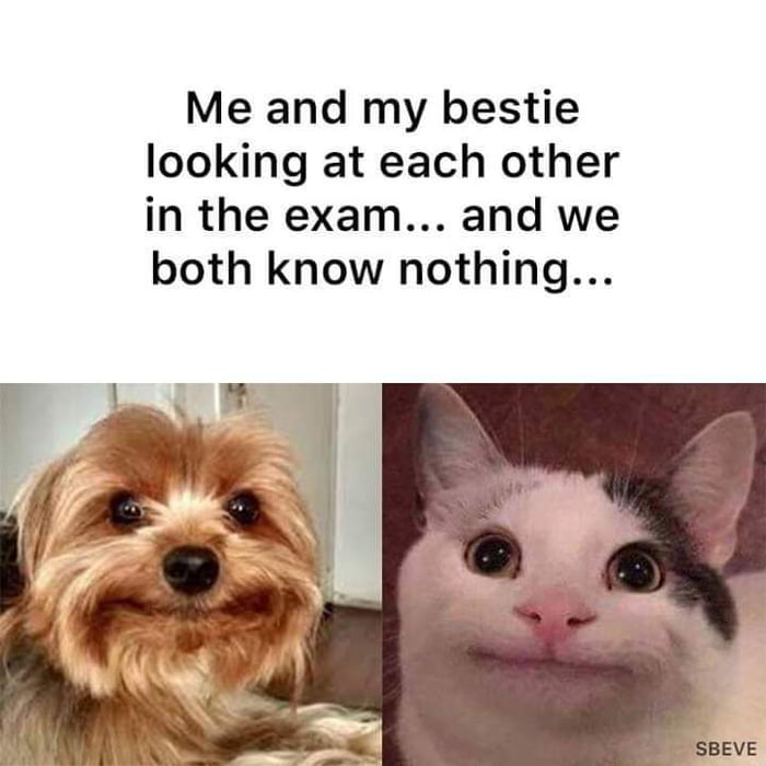 Same look I give to people I dont want to talk too but make awkward eye ...