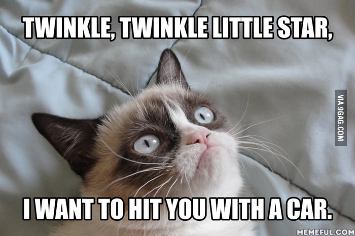 Gotta love that grumpy cat! - 9GAG