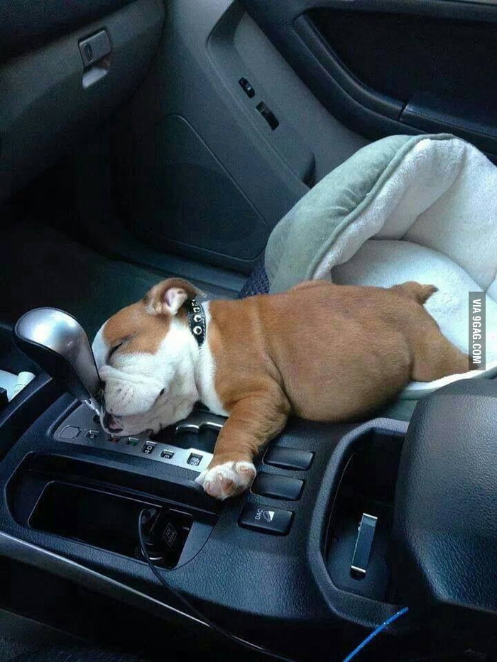Driving in his dream - 9GAG