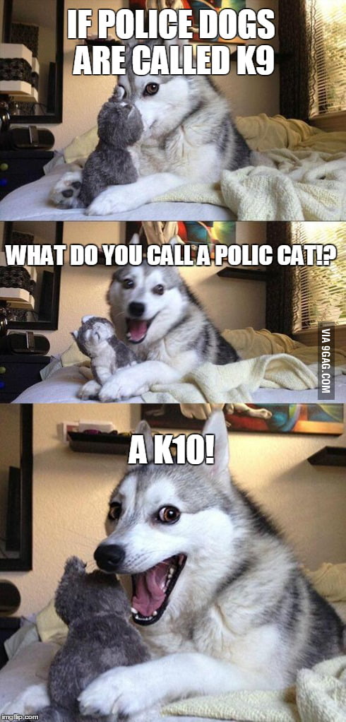 What do you call a police cat? - 9GAG
