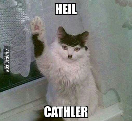 German cat - 9GAG