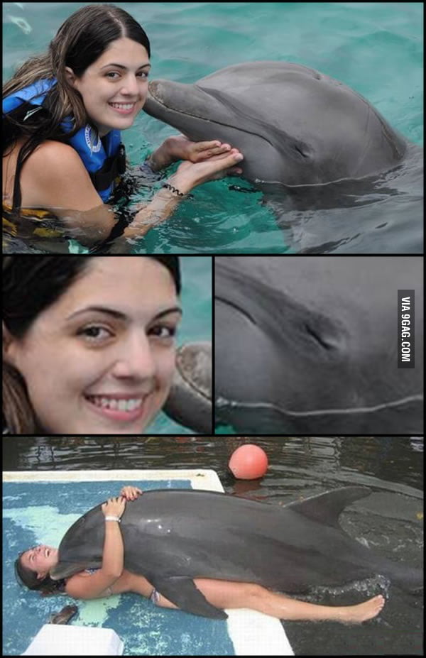 Oh dolphins - 9GAG