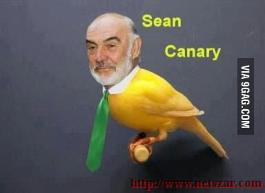 Sean Canary - 9GAG