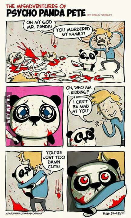 The adventures of psycho-panda. - 9GAG