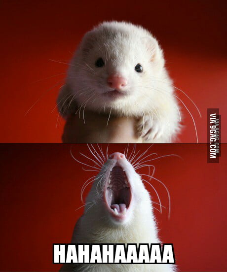 When your crush tells a boring joke - 9GAG
