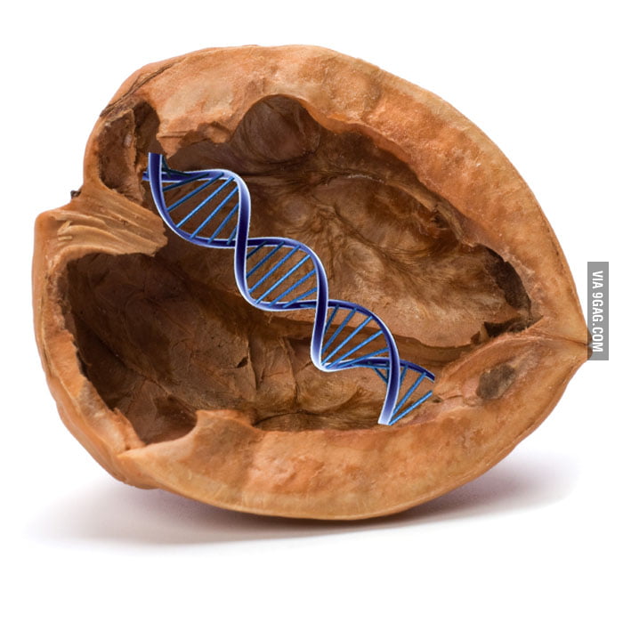 Life in a nutshell... - 9GAG