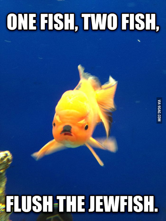 One Fish, Two Fish... - 9GAG