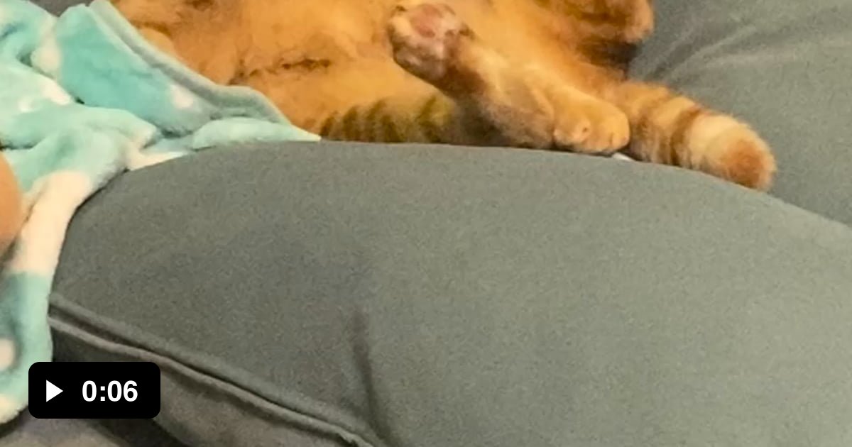 Bring me another beer - 9GAG