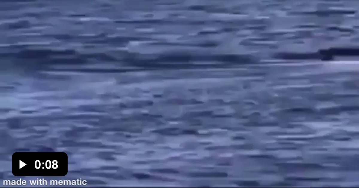 This gorilla experiencing cold water - 9GAG