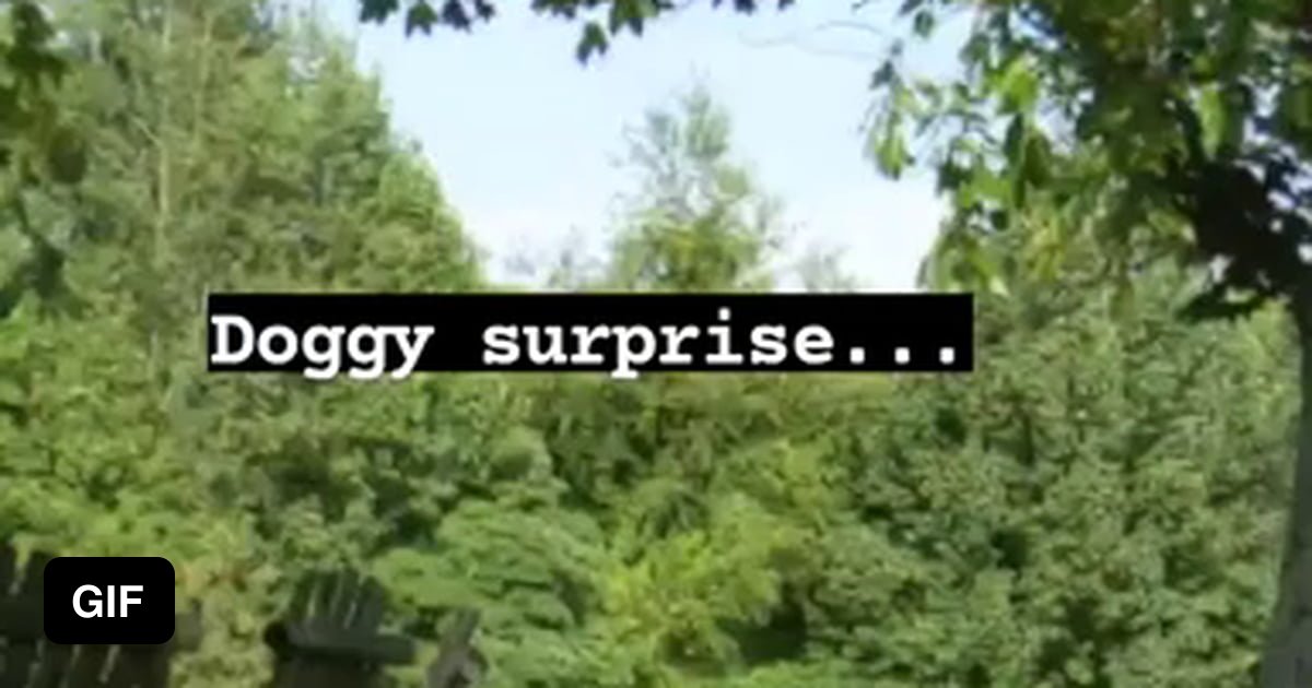 Derpy surprise - 9GAG