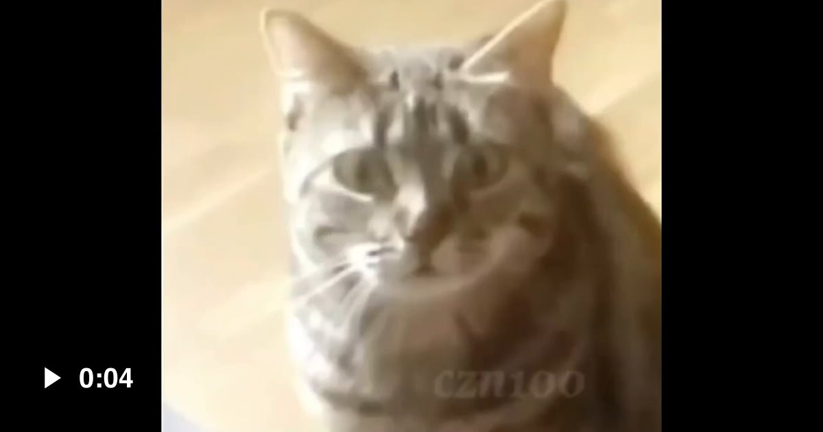 Cat.exe stopped working - 9GAG